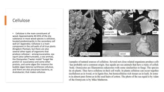 Cellulose | PPTX