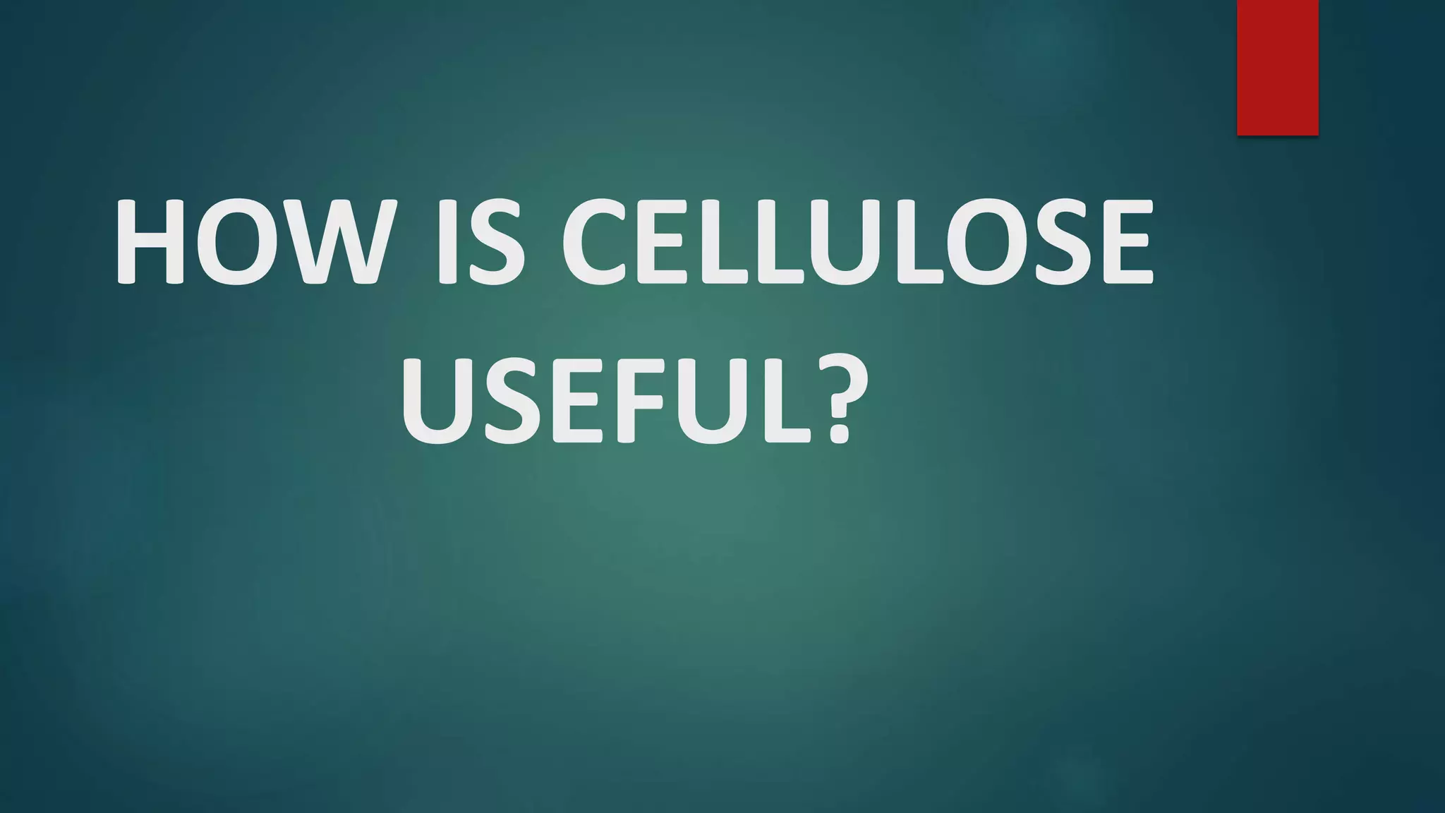 Cellulose.pptx