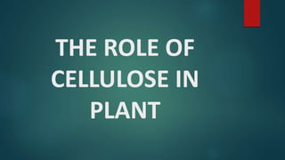 Cellulose.pptx | Biological Sciences | Science