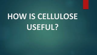 Cellulose.pptx | Biological Sciences | Science