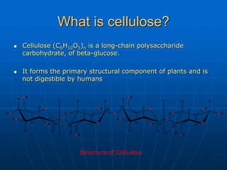 Cellulose chemistry and technology file.ppt