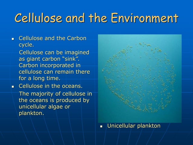 Cellulose chemistry and technology file.ppt