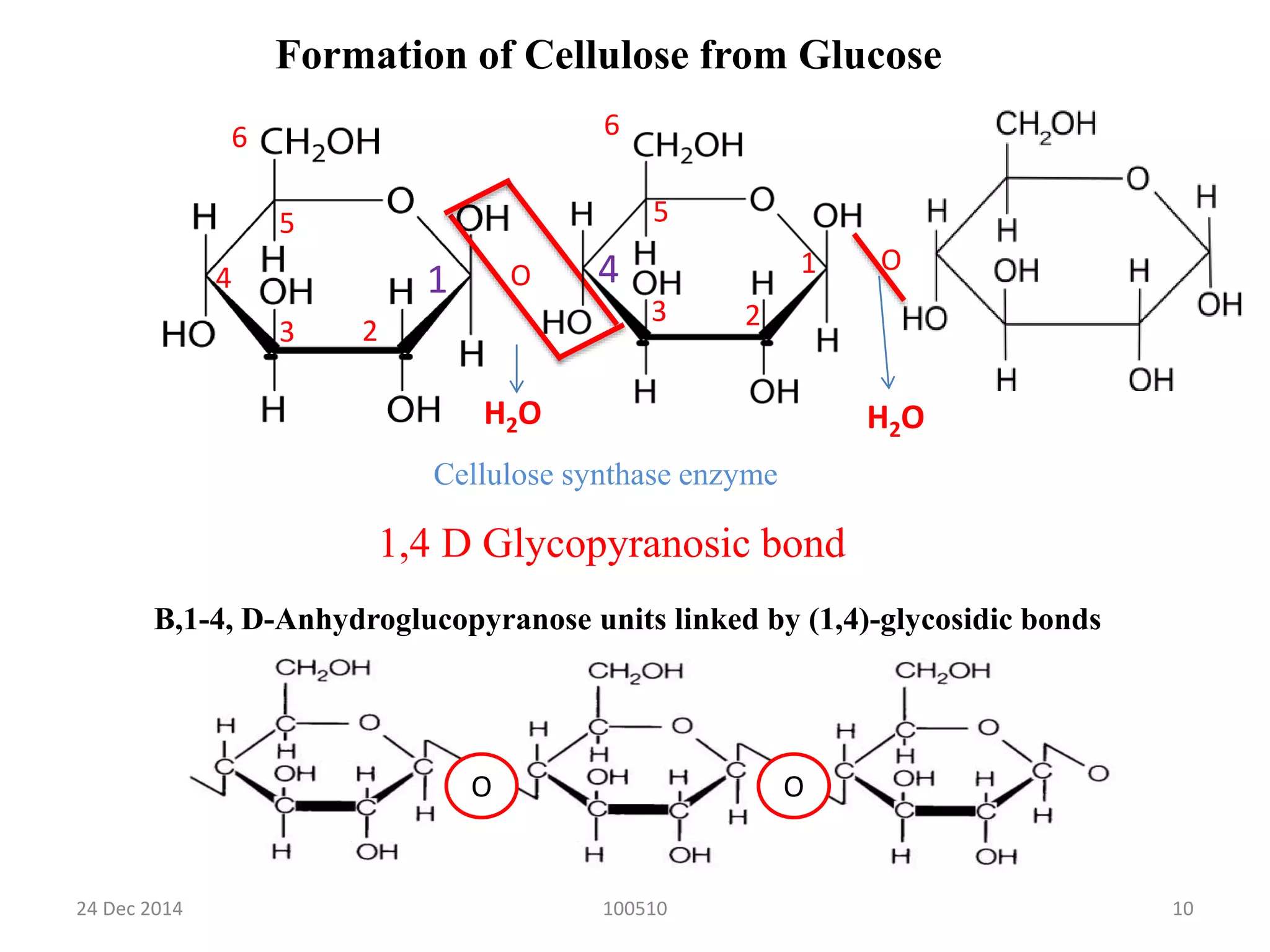 Cellulose and it's properties | PPTX