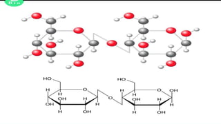 Cellulose and cellobiose | PPTX