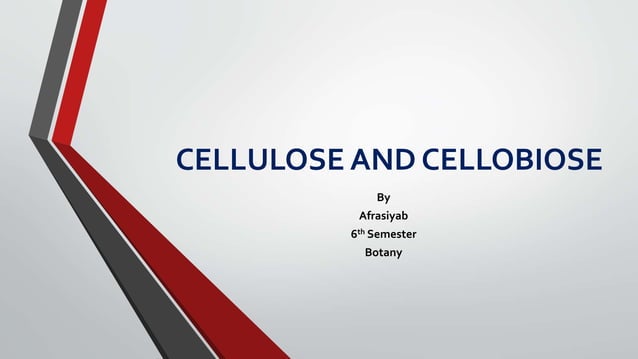 Cellulose and cellobiose | PPTX | Chemistry | Science