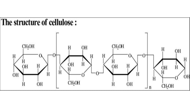 Cellulose and cellobiose | PPTX | Chemistry | Science