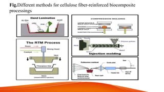 Cellulose based biocomposites | PPTX