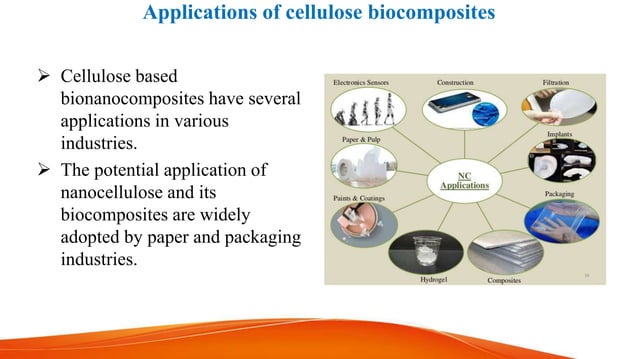 Cellulose based biocomposites | PPTX | Chemistry | Science