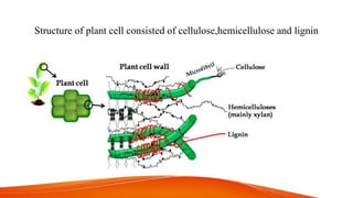 Cellulose based biocomposites | PPTX
