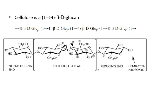 Cellulose biosynthesis | PPT