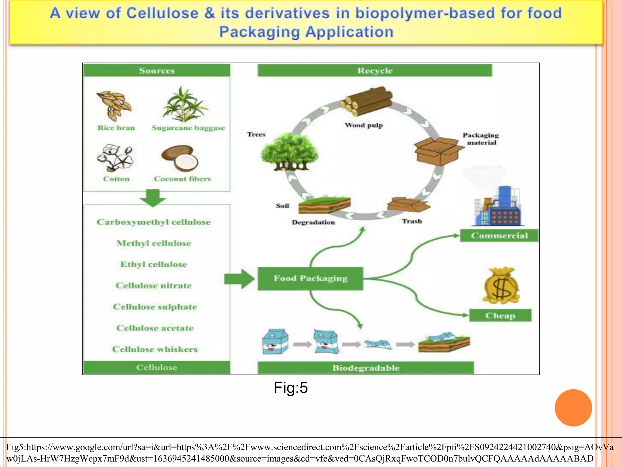 Edible film of Cellulose and Cellulose Derivatives | PPTX
