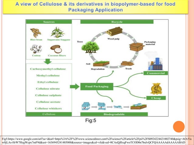 Edible film of Cellulose and Cellulose Derivatives | PPTX | Chemistry ...