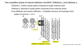 Cellulose and Nanofiber for foods and nutrients | PPTX
