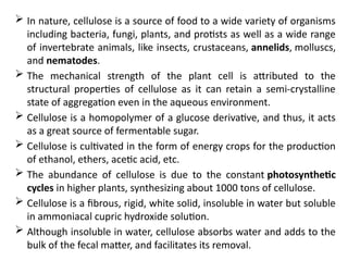 cellulose degradation BY MICROORGANISMS.pptx