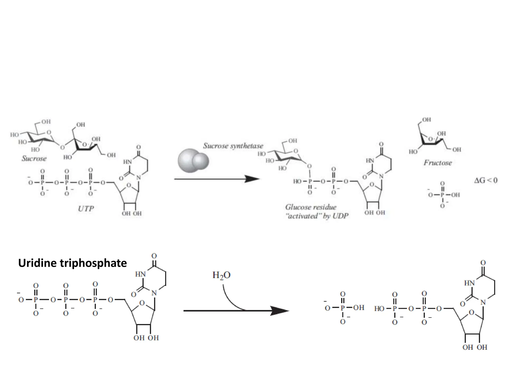 different cellulose Derivatization methods.ppt