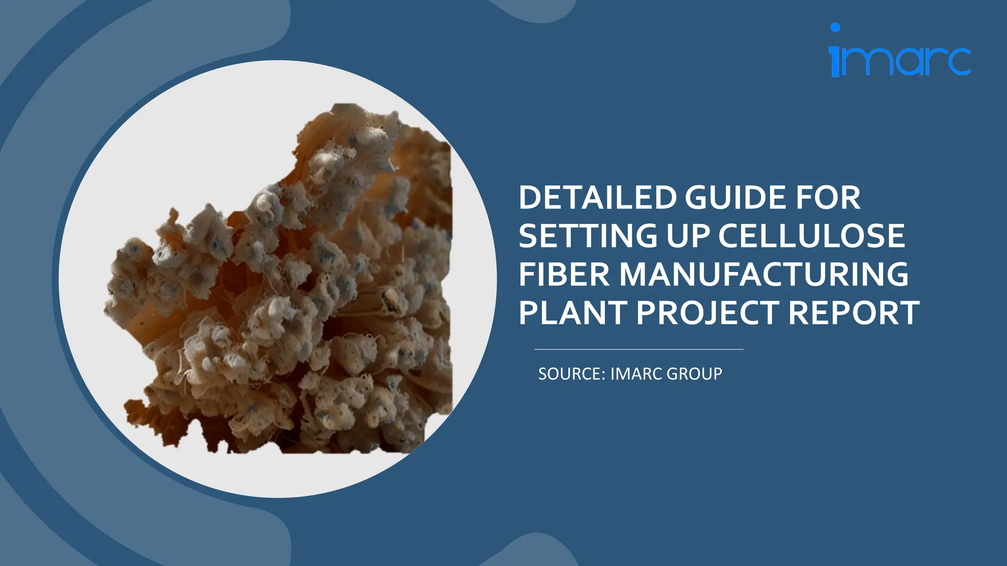 Cellulose Fiber Manufacturing Plant Project Report.pdf
