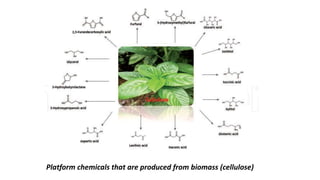 Isolation of Cellulose from lignocellulosic biomass and its ...