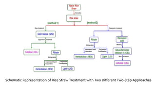 Isolation of Cellulose from lignocellulosic biomass and its ...