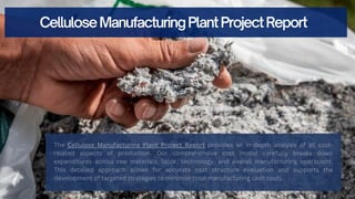 Cellulose Manufacturing Plant Project Report | PDF