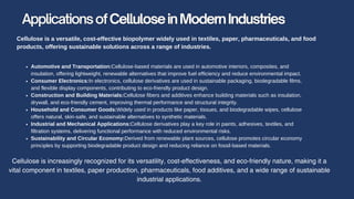Cellulose Manufacturing Plant Project Report | PDF