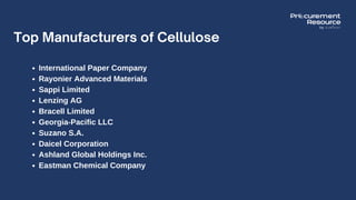 Cellulose Manufacturing Plant Project Report | PDF