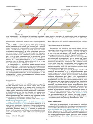 Cellulose nanofiber | PDF