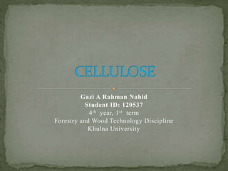 Cellulose presentation | PPTX