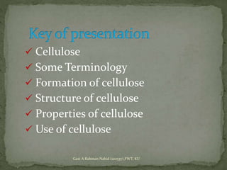Cellulose presentation | PPTX