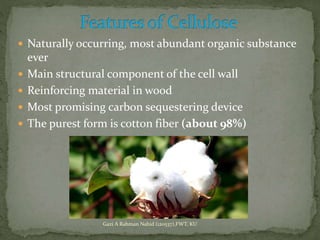 Cellulose presentation | PPTX