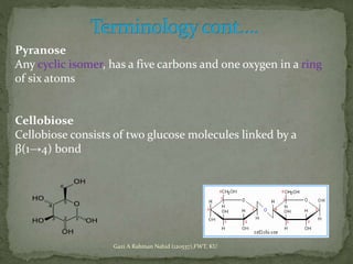 Cellulose presentation | PPTX
