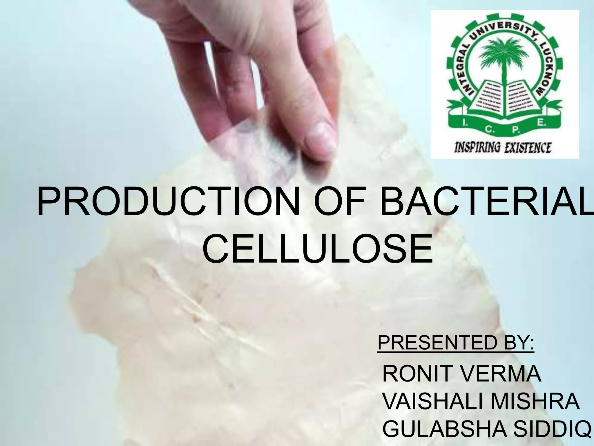Bacterial Cellulose presentation | PPTX