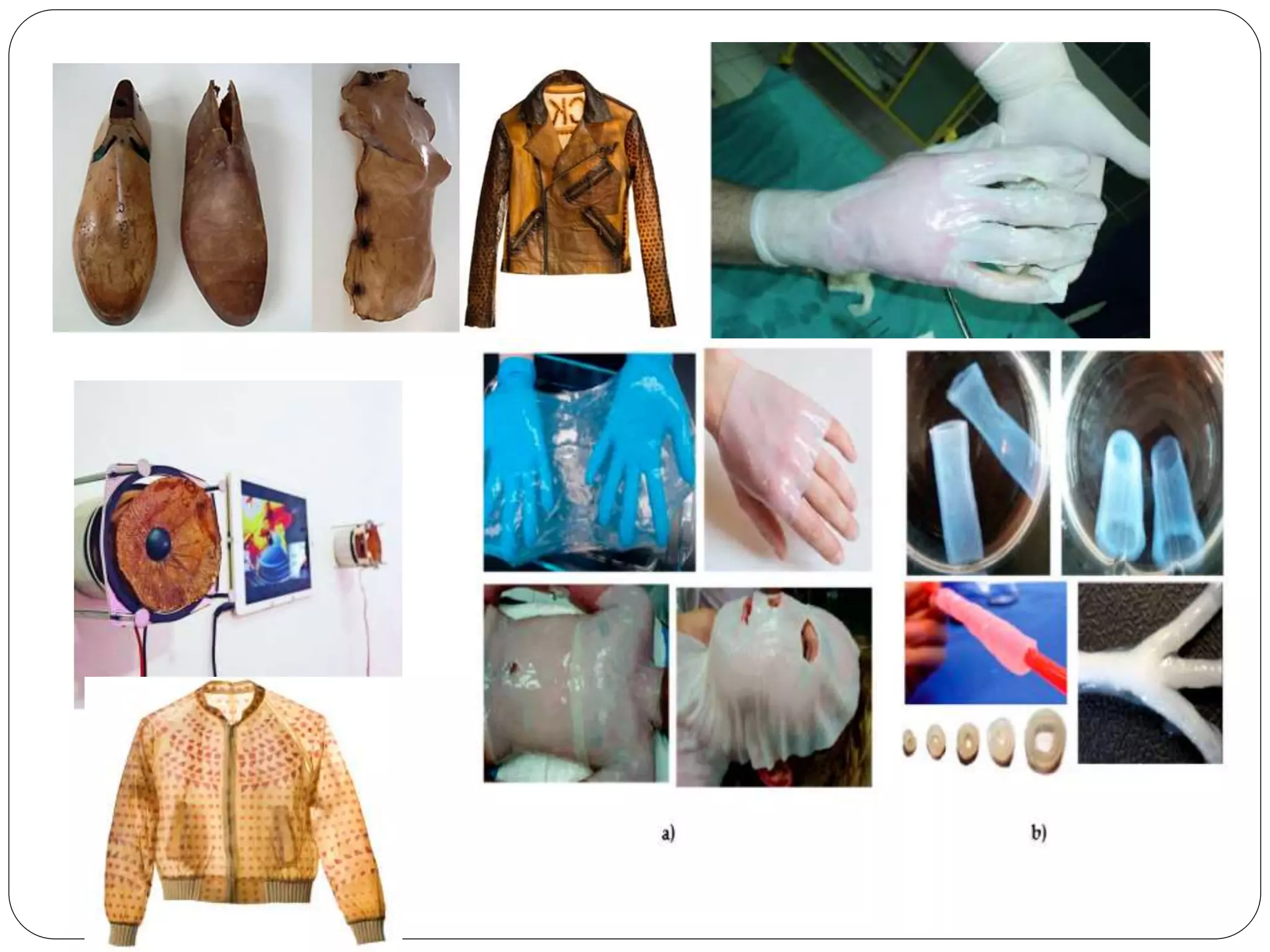 Bacterial Cellulose presentation | PPTX