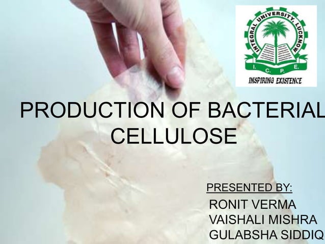 Bacterial Cellulose presentation | PPTX