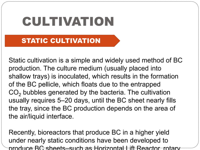 Bacterial Cellulose presentation | PPTX