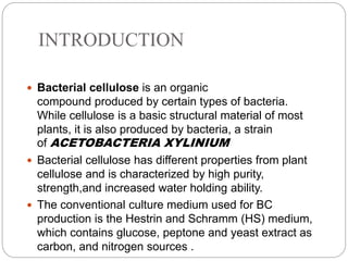 Bacterial Cellulose presentation | PPTX