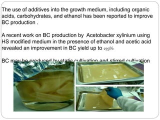 Bacterial Cellulose presentation | PPTX