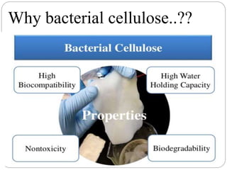 Bacterial Cellulose presentation | PPTX