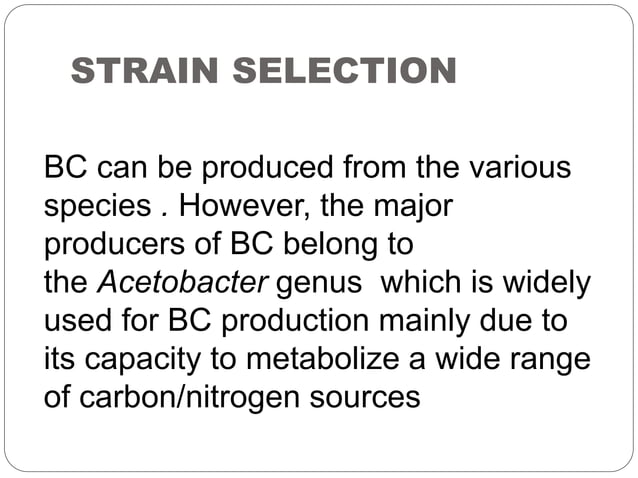 Bacterial Cellulose presentation | PPTX