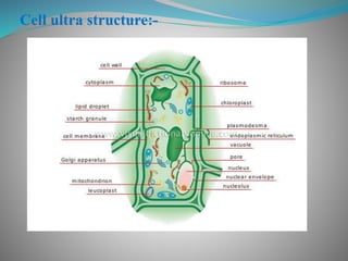 Cell ultrastructure and cell organelles | PPTX