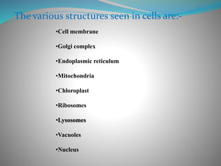 Cell ultrastructure and cell organelles | PPTX