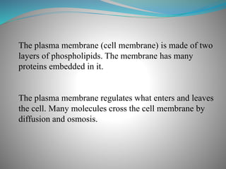 Cell ultrastructure and cell organelles | PPTX