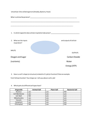 Cell unit review complete | DOCX | Biological Sciences | Science