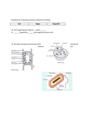 Cell unit review complete | DOCX | Biological Sciences | Science