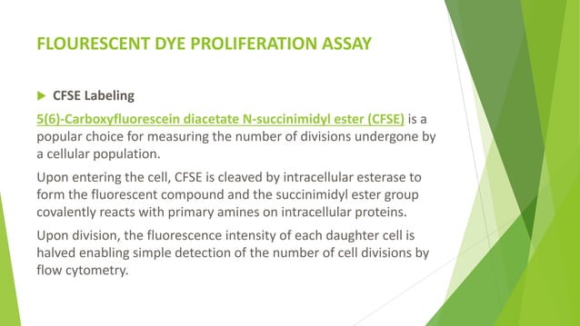 Cell viability and proliferation assays | PPTX | Biological Sciences | Science