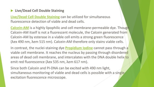 Cell viability and proliferation assays | PPTX | Biological Sciences | Science