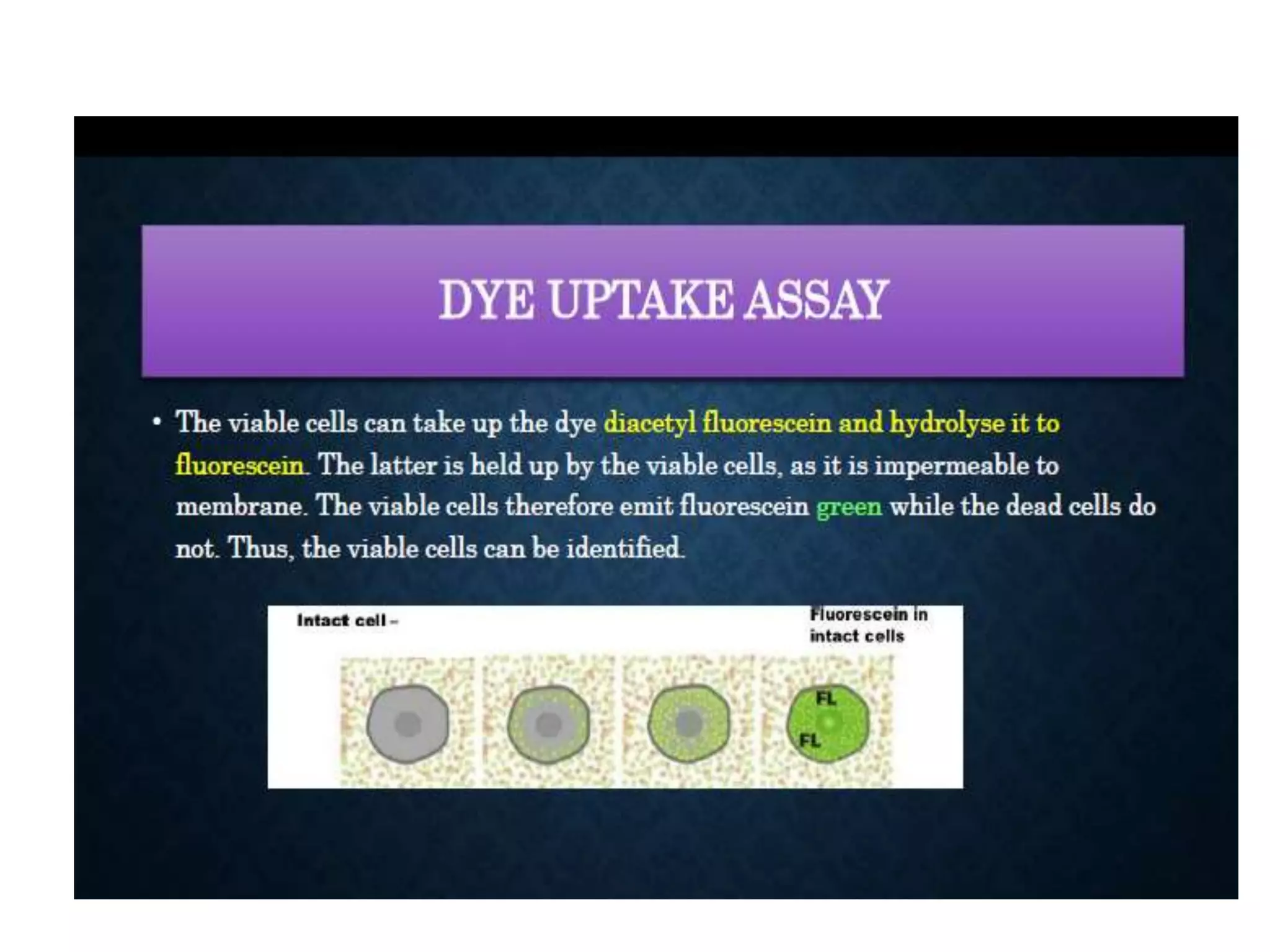 Cell viability assays | PPTX