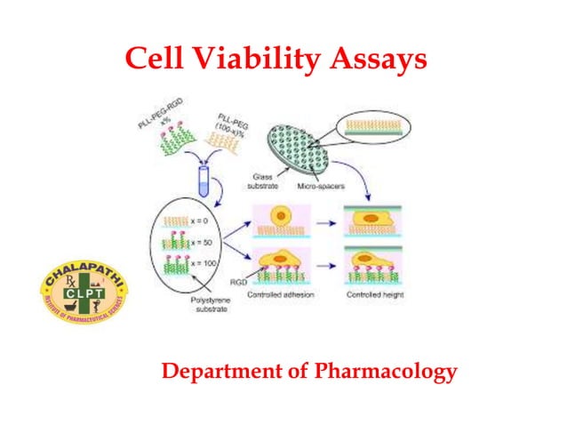 Cell viability assays | PPT