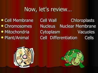 Cell Vocabulary | PPT
