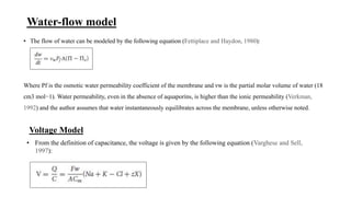 Cell volume regulation | PPTX
