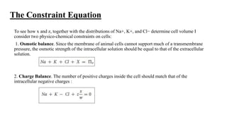 Cell volume regulation | PPTX